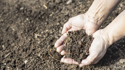 Loam/Topsoil and Compost | Krochmal Farms